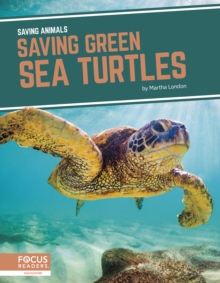 Saving Green Sea Turtles by London, Martha (9781644934623) | Browns Books