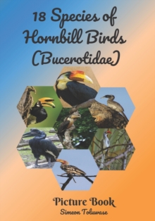 18 Species of Hornbill Birds (Bucerotidae) Picture Book by Toluwase ...